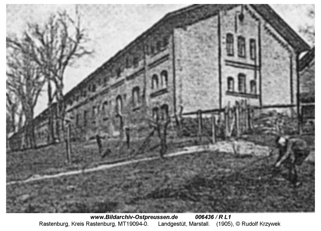 Archiwum Zdjęć - Prusy Wschodnie, Rastenburg, Landgestüt, Marstall