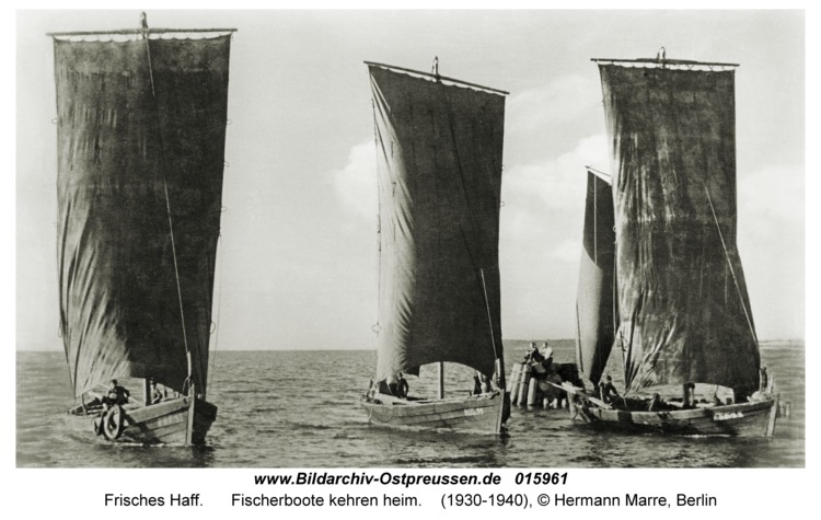 Bildarchiv Ostpreußen, Frisches Haff, Fischerboote kehren heim