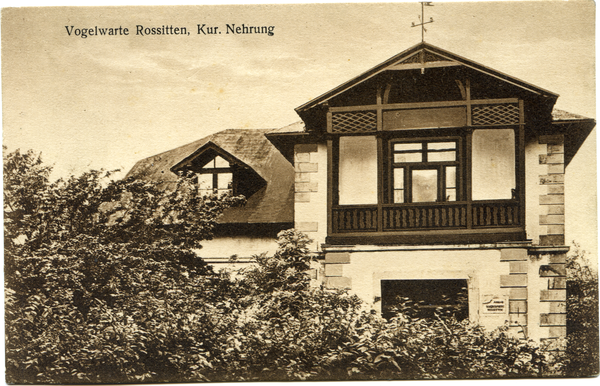 Bildarchiv Ostpreußen, Rossitten Kr. Samland, Vogelwarte